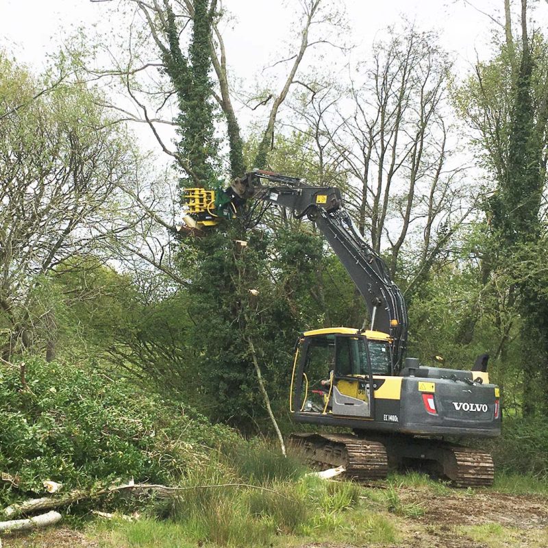 TreeMaster GS – Exac-One Ltd