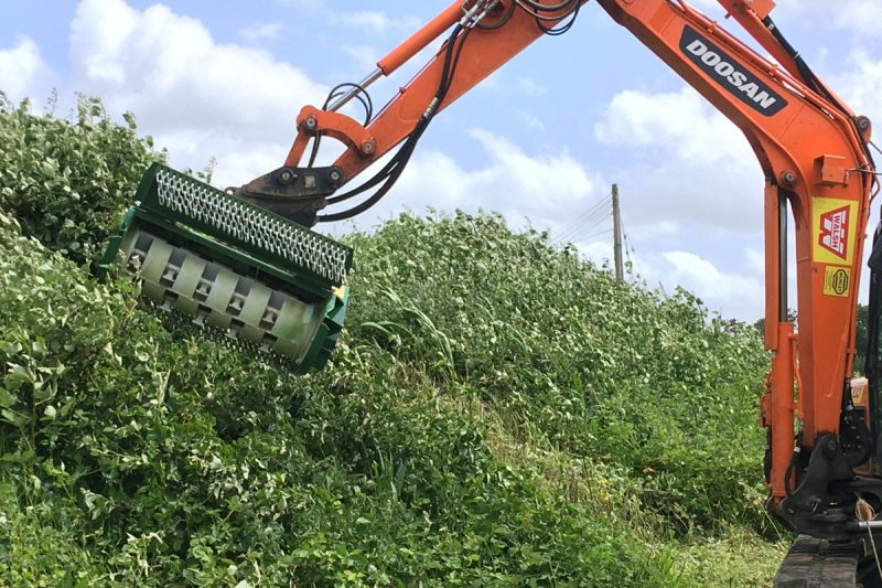 Mini Forest Mulcher – Exac-One Ltd